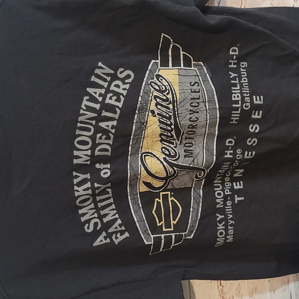 Harley Davidson Men's Why We Ride Smoky Mountains Tee… - Gem